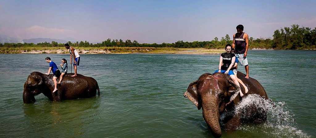 Chitwan National Park Tour, Chitwan Jungle Safari